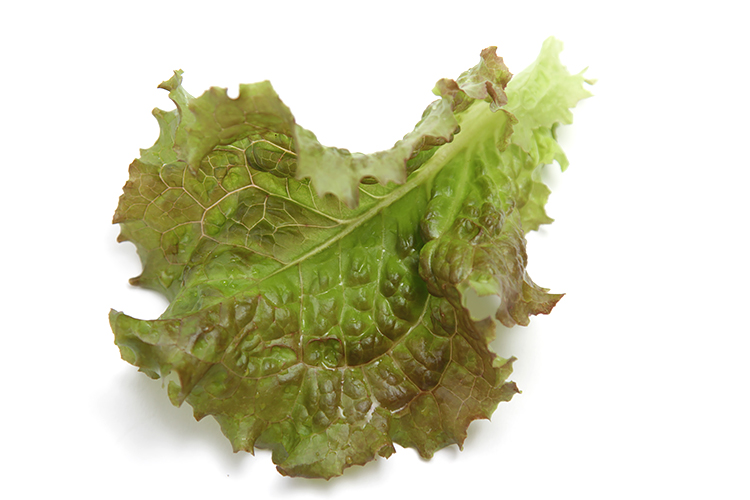 Lola Rosa & cucumber salad | Recipe | Food & Style